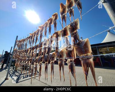 Squid drying on lines, South Korea Stock Photo - Alamy