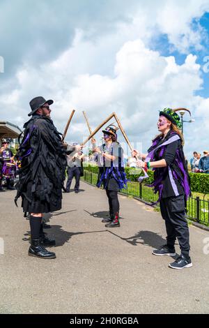 Folk Morris dancers, the Black Swan Border Morris side, dancing in the ...