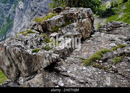 Solalex area high above Villars Sur Ollon in Switzerland Stock Photo ...