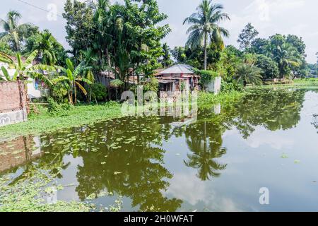 Small pond in Puthia village, Bangladesh Stock Photo - Alamy