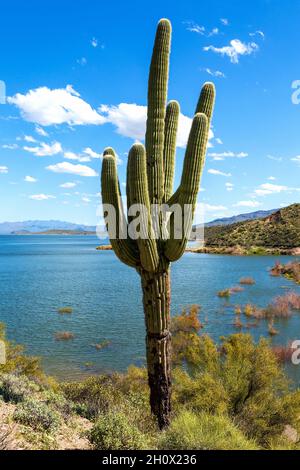 Roosevelt Lake Arizona Stock Photo - Alamy