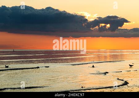 Worthing, UK. 14th Oct, 2021. General view of Worthing Beach during ...