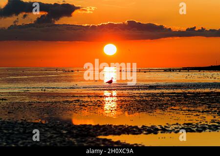 Worthing, UK. 14th Oct, 2021. General view of Worthing Beach during ...