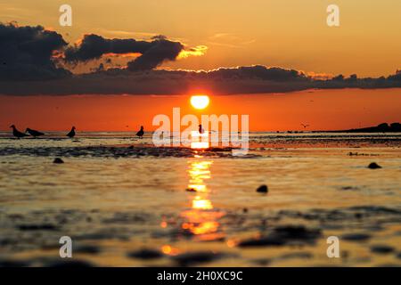 Worthing, UK. 14th Oct, 2021. General view of Worthing Beach during ...
