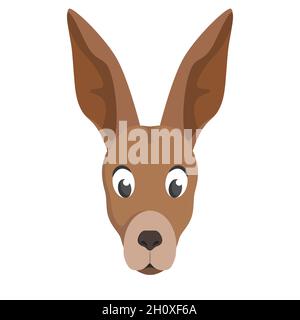 how to draw kangaroo face