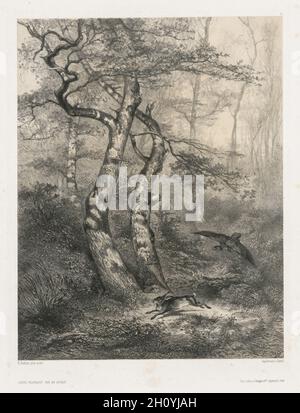 Karl Bodmer, (artist), Swiss, 1809 - 1893, Oies sauvages, lithograph ...