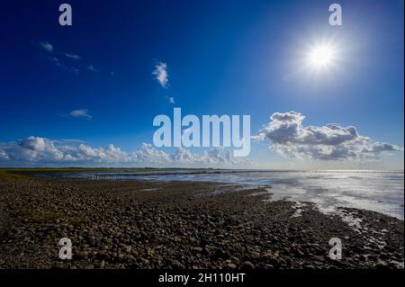 Salt marshes during low tide along a road through the sea to the island ...