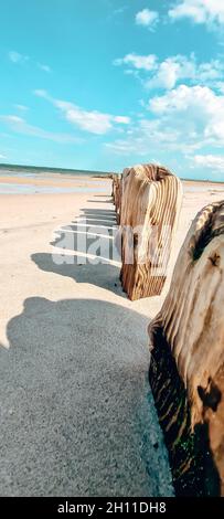 Vertical shot of a wood stump sticking up in the sand at the seaside ...