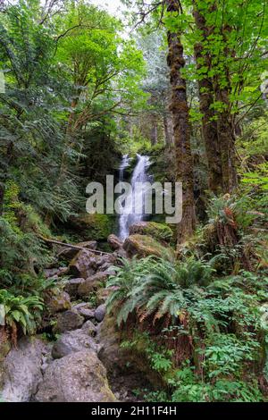 Merriman Falls. Olympic National Park, Washington, USA Stock Photo - Alamy