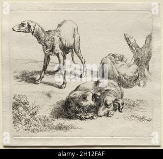 Berchem - three hunting dogs Stock Photo - Alamy