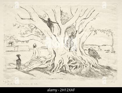 The Old Sycamore Tree in Arabia. Emil Orlik (Czech, 1870-1932). Etching ...