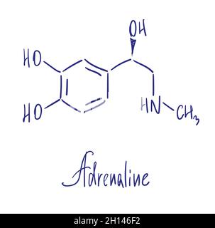Adrenalin, Adrenaline, Epinephrine hormone structural chemical formula ...