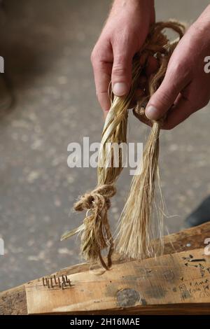 Comparison of hemp sativa before and after combing Stock Photo - Alamy