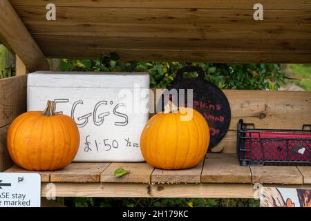 Honesty stall or honesty box selling farm free range eggs from an ...