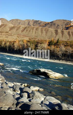 Beautiful mountain river with tempestuous current in siberia Stock ...