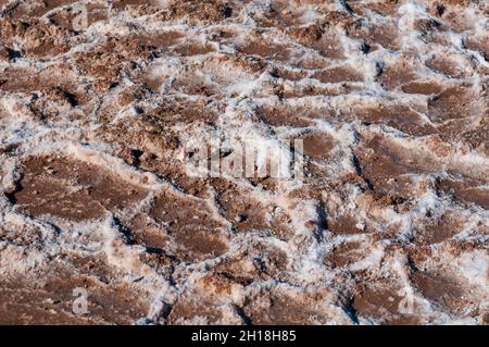 A close up of crusted earth in the salt pan of Badwater Basin. Death ...