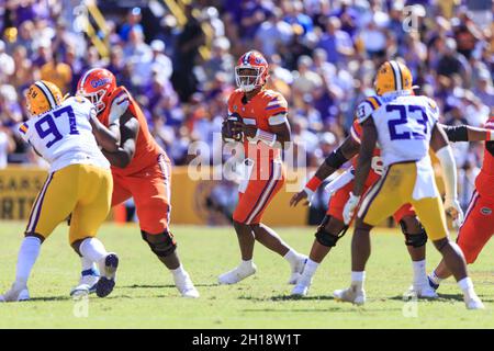 Florida quarterback Anthony Richardson (15) celebrates with teammates ...