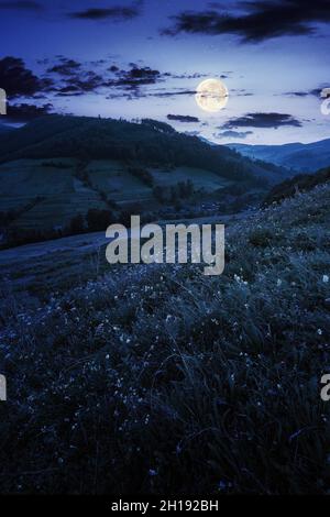 carpathian countryside at night. forested hills and grassy meadows in ...