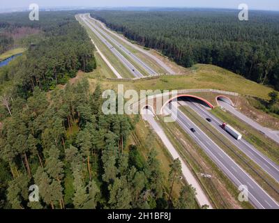 Motorway and eco crossover for fauna. Ecoduct crossing. Aerial. Ecoduct ...