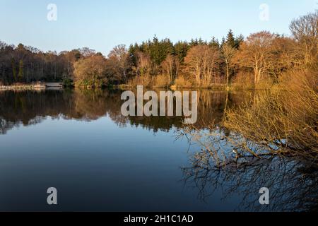 Stover Country Park Lake Stock Photo - Alamy