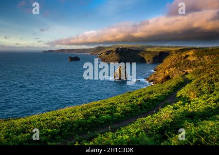 Trevalga Cliff; Looking Towards Boscastle; Cornwall; UK Stock Photo - Alamy