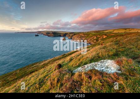 Trevalga Cliff; Looking Towards Boscastle; Cornwall; UK Stock Photo - Alamy