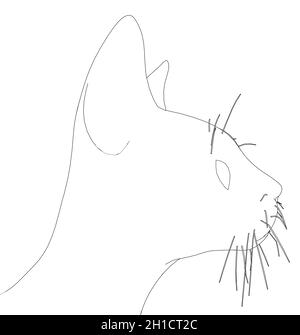 Cat Face Side View Drawing