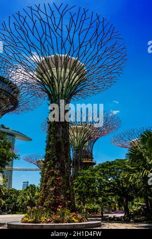 SINGAPORE - FEB 29, 2020: Gardens by the Bay, nature park in the ...