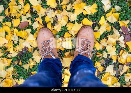 Casual unisex boots with colorful autumn fallen leaves. Autumn fall ...
