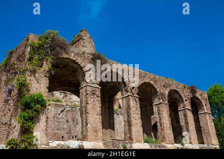 Ruins of the Medieval Porch at the Roman Forum in Rome Stock Photo - Alamy
