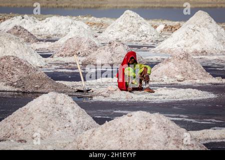 Woman mining salt at lake Sambhar, Rajasthan, India Stock Photo - Alamy