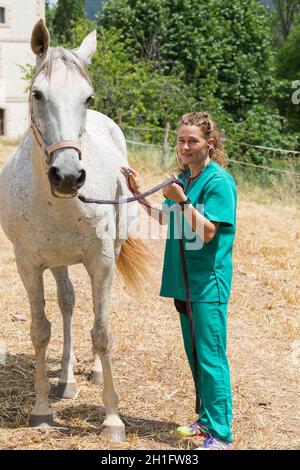 Veterinary great performing a scan to a young mare Stock Photo - Alamy
