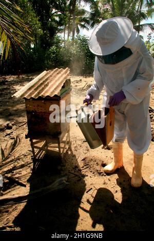 A bee hive honeycomb is seen in Melbourne, Tuesday, June 16, 2026. (AAP ...