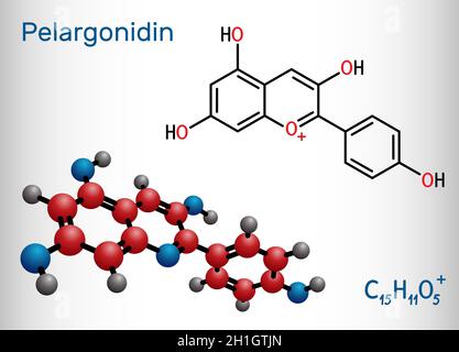 Pelargonidin molecule. It is anthocyanidin cation, plant pigment ...