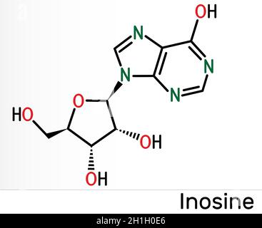 Inosine molecule. It is purine nucleoside, commonly occurs in tRNA ...
