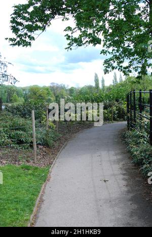 Path through the Fences Stock Photo - Alamy