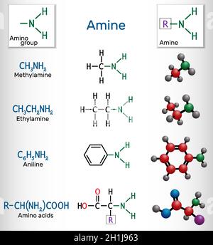 Amino group, (primary, -NH2). It is functional group comprised of a ...