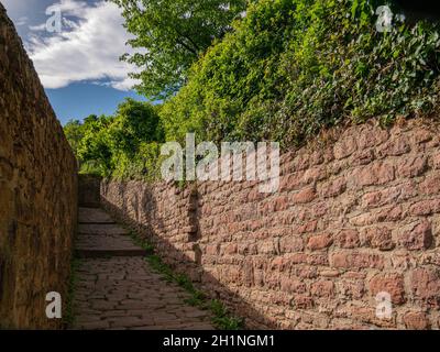 Narrow path between two stone walls with vegetation Stock Photo - Alamy