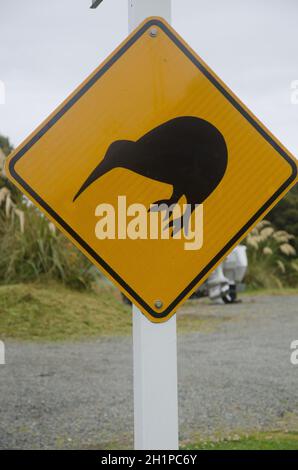 Southern Tokoeka / Stewart Island Brown Kiwi (Apteryx australis lawryi ...