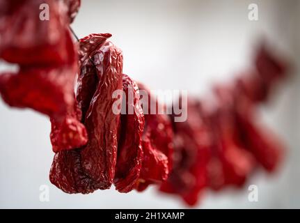 CloseUp of dried red peppers hanging on a rope in the market. Selective ...