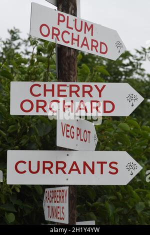 Fruit, Orchard, Pick Your Own, signs pointing the way to rows ...