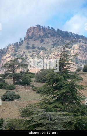 Belezma National park in the Aures region in Batna, Algeria Stock Photo ...