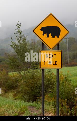 Road sign for bear crossing in Juneau, Southeast Alaska, USA Stock ...