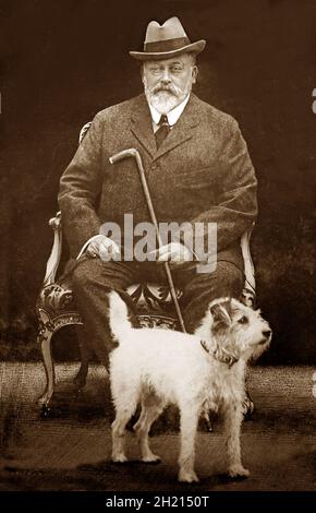 King Edward VII - with Dog Stock Photo - Alamy