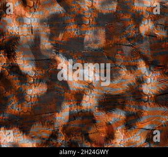 modern mixed print pattern, textile design Stock Photo - Alamy