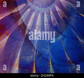 modern mixed print pattern, textile design Stock Photo - Alamy