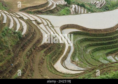 The Jinkeng section of the Longshen Rice Terraces in Guangxi, China ...