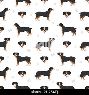 Entlebucher mountain dog clipart. Different poses, coat colors set ...