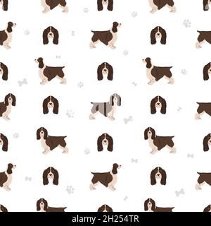 English springer spaniel clipart. Different poses, coat colors set ...