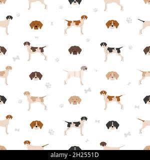English pointer clipart. Different poses, coat colors set. Vector ...